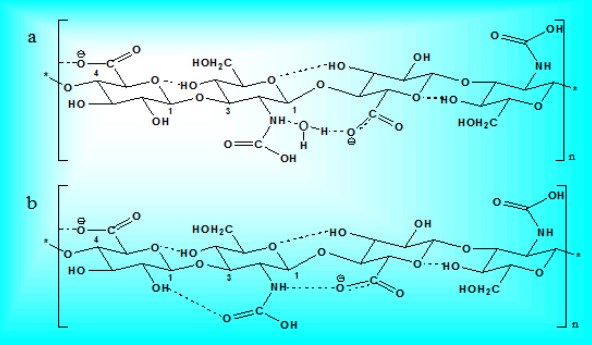 Primary Structure of Hyaluronan - Hyaluronic Acid Supplier