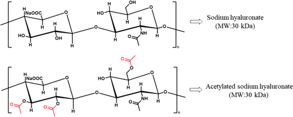 Sodium Acetylated Hyaluronate and Hydrolyzed Hyaluronic Acid: what’s ...